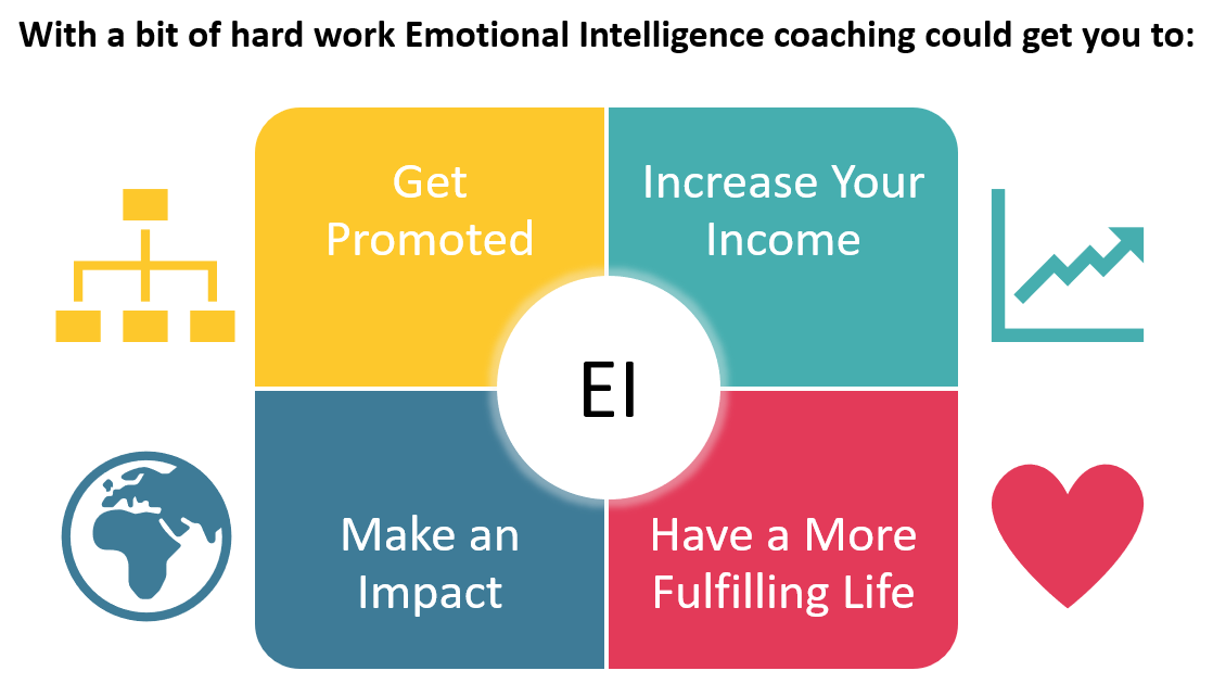 Executive Leadership Coaching Emotional Intelligence | Sprint Agile