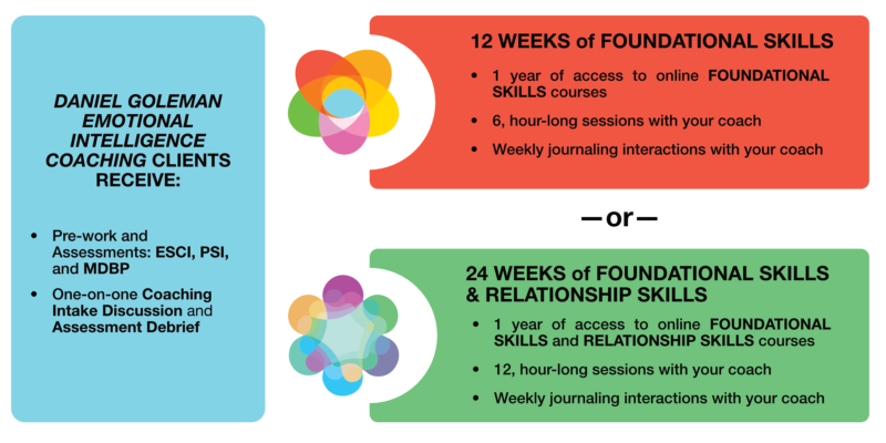 Executive Leadership Coaching Emotional Intelligence | Sprint Agile